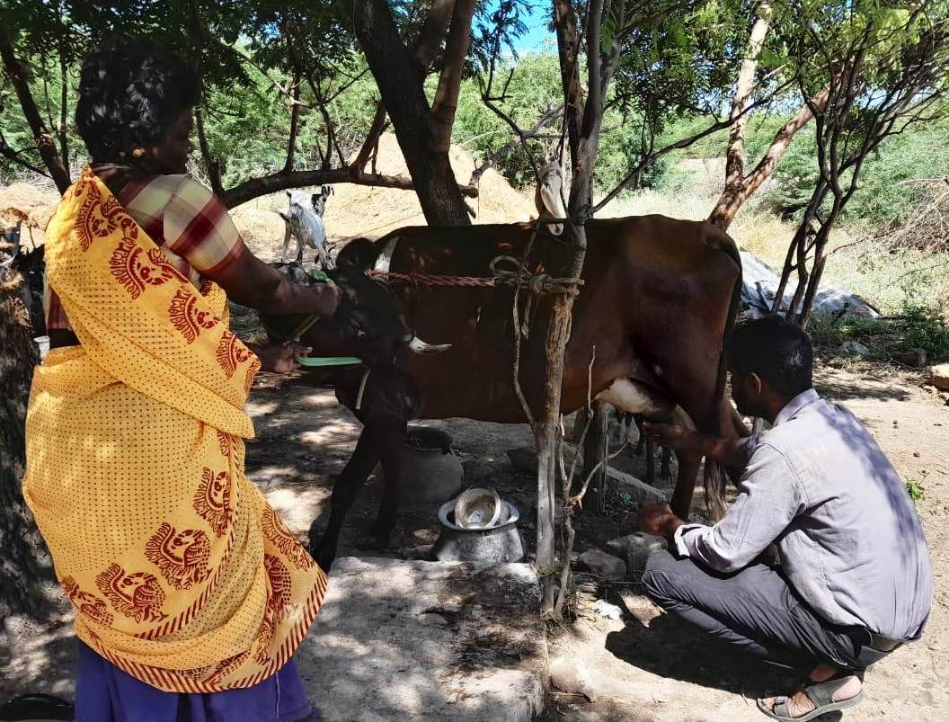 Photo Gallery | SCAD - KVK Thoothukudi
