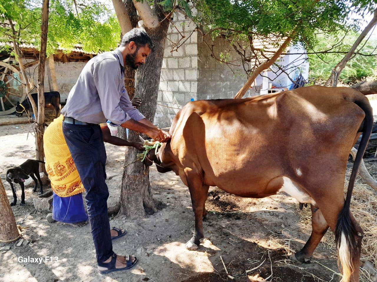 Photo Gallery | SCAD - KVK Thoothukudi